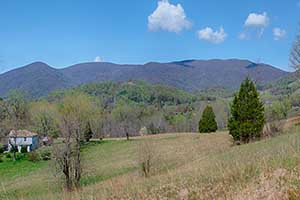 Charlottesville Virginia Farms For Sale